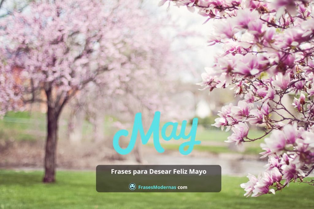 🌹 Frases para Desear Feliz Mayo 2025